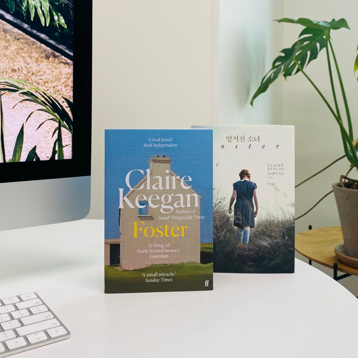 Foster – Athena's Owl